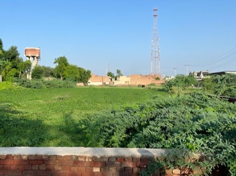 Rana Zaid Community Health Centre, Jhang – IPAC